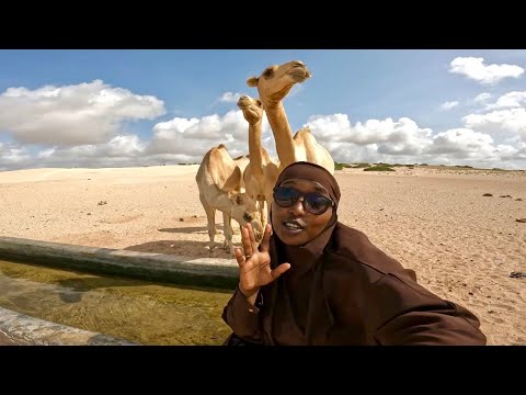 Rough Road trip to a coastal town in Somalia (Warsheekh) - Warsheekh