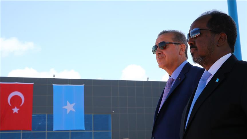 Somali President Warns of Red Sea Corridor Destabilization Due to ...